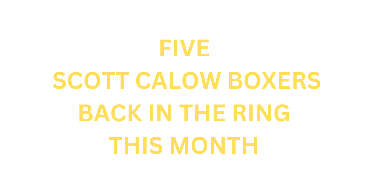 Five Scott Calow pro boxers back in the ring this month